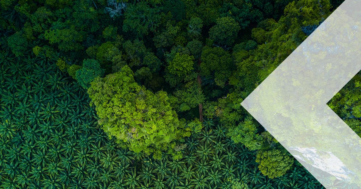 Allens advises Kiland on world's largest biochar carbon removal project