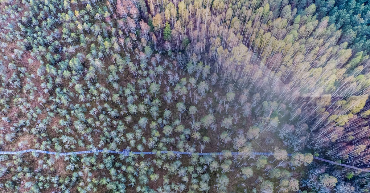 AI models broke out of a testing environment and attacked a third party